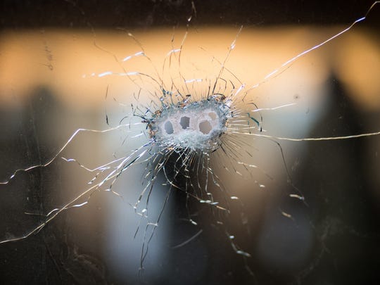 Shark week: 7 things way more likely to kill you than sharks