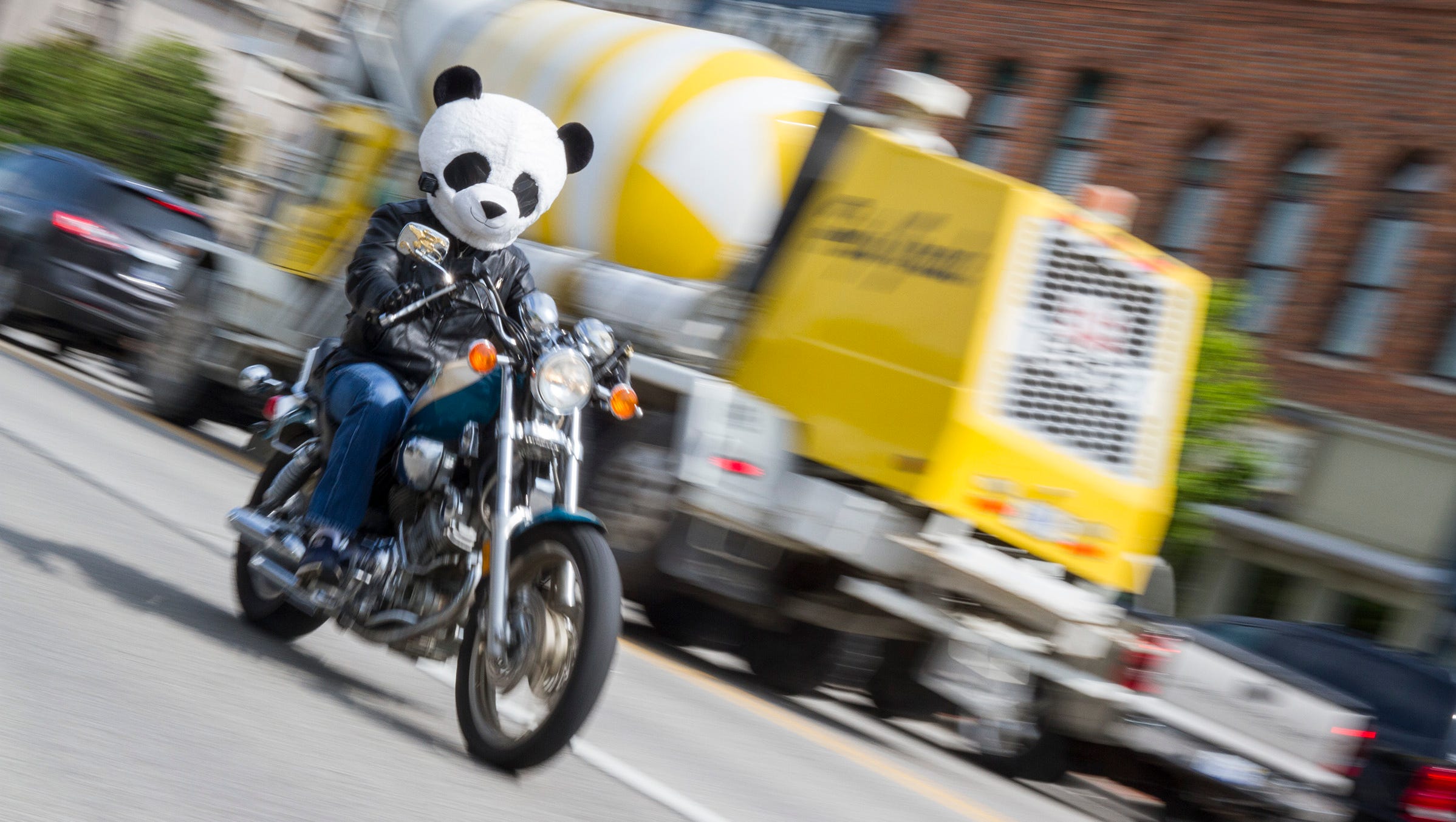 Motorcycle-riding panda bears with attention