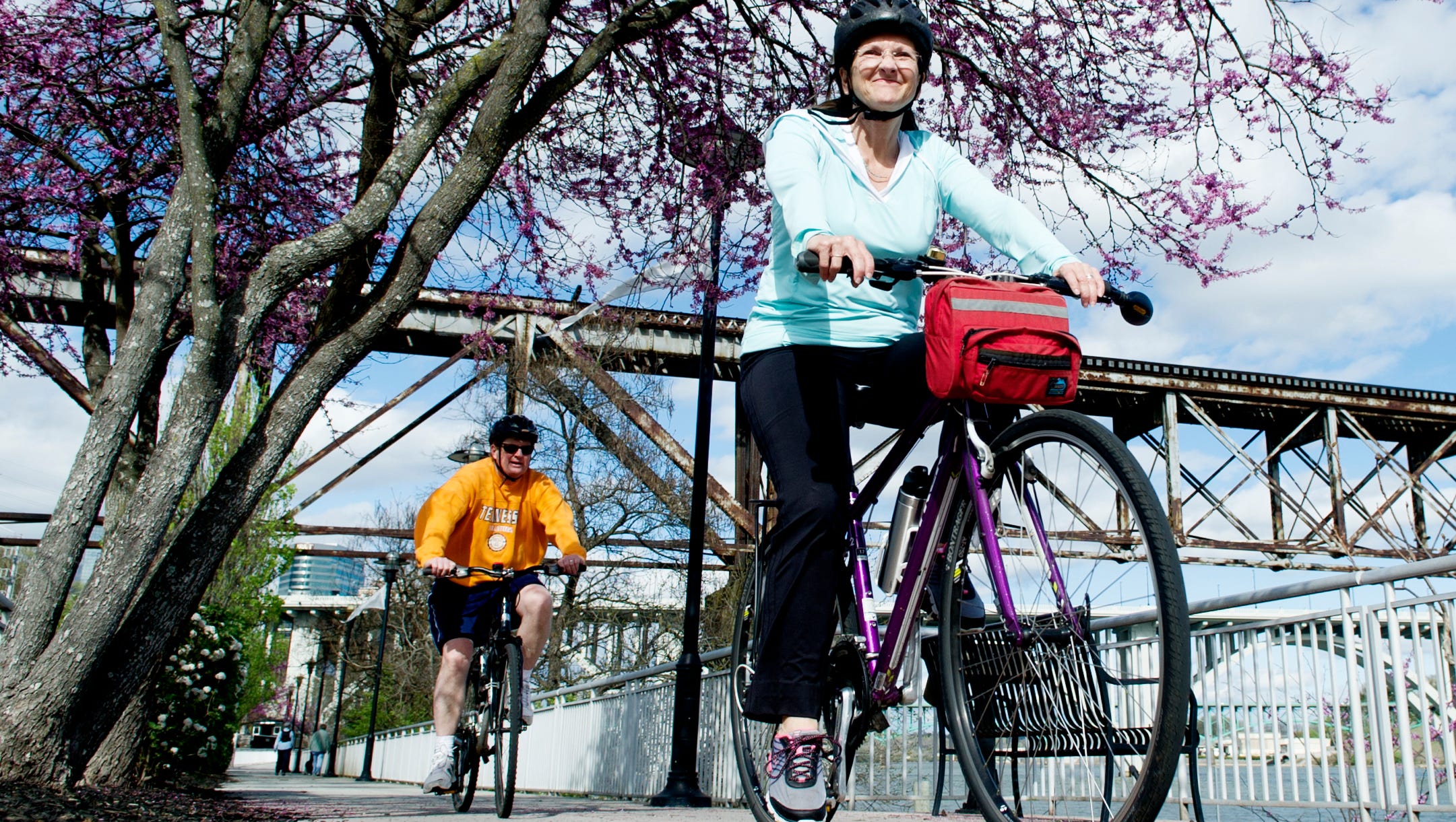 Grab your chainsaw and end this Bradford pear curse for good