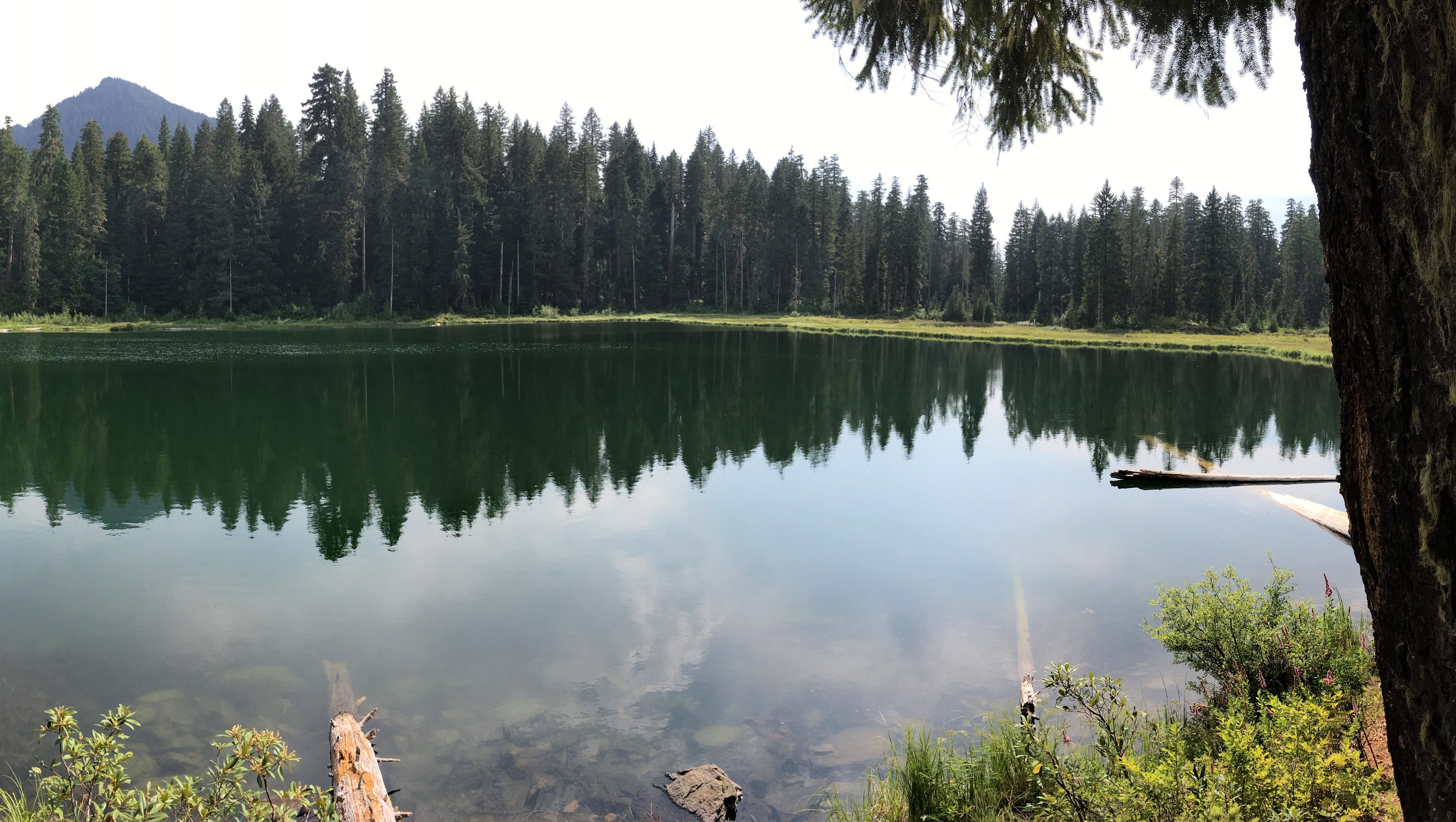 Oregon's 29-mile Old Cascade Crest Loop has epic views, solitude