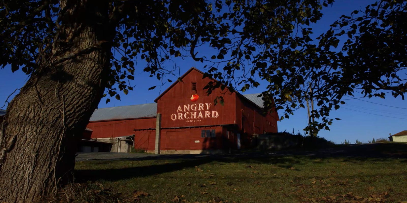 Angry Orchard hard cider made by Williamson native Ryan Burk