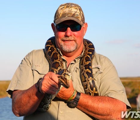 Hunting for deadly pythons in Florida with the ''snake whisperer ...