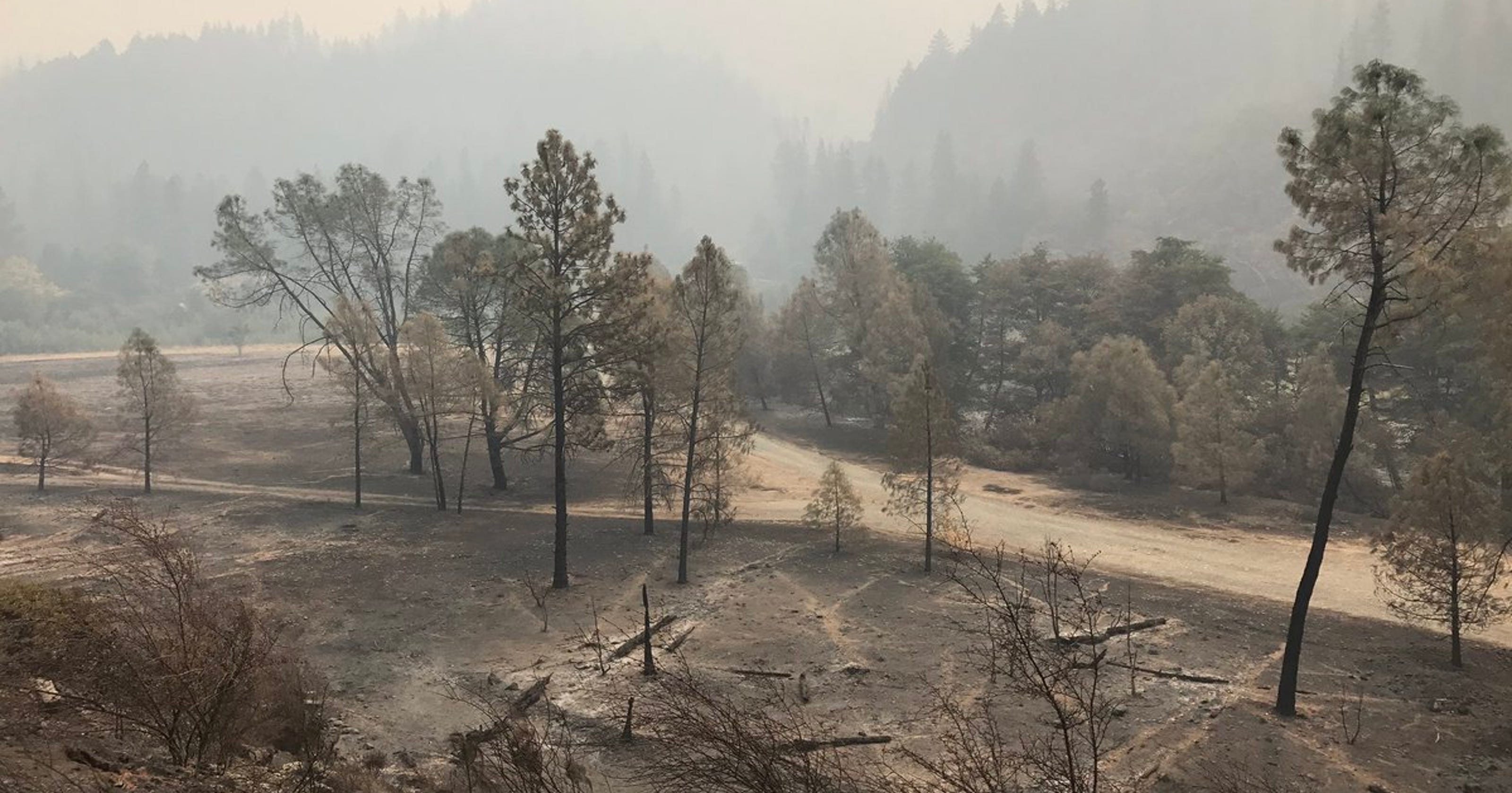 Cooler weather helps firefighters slow spread of Helena Fire