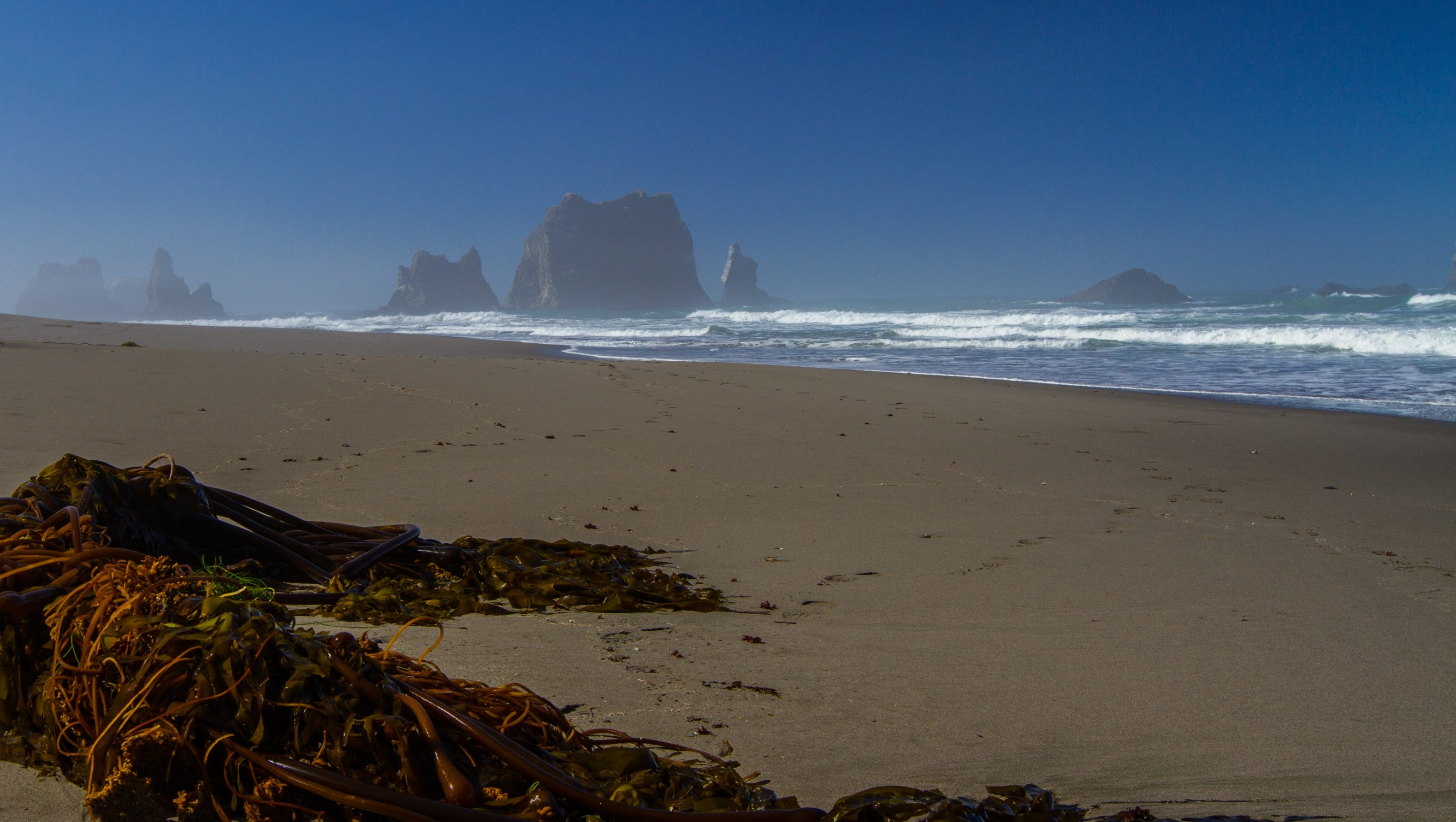5 secret beaches on the Oregon Coast