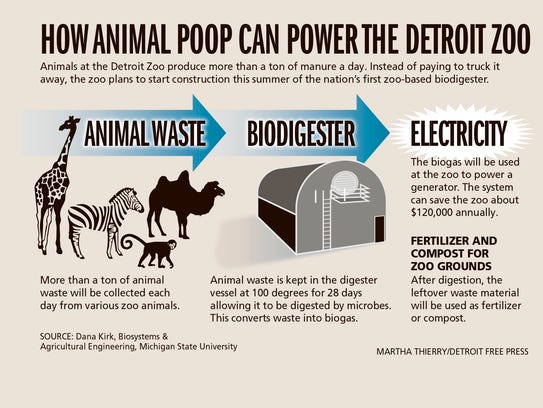 Power of the poop: Detroit Zoo to turn waste into energy