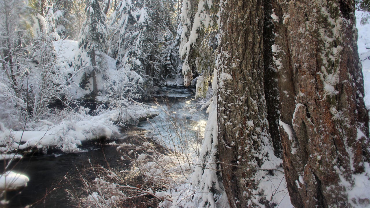 10 beautiful snowshoe routes near Salem, Oregon