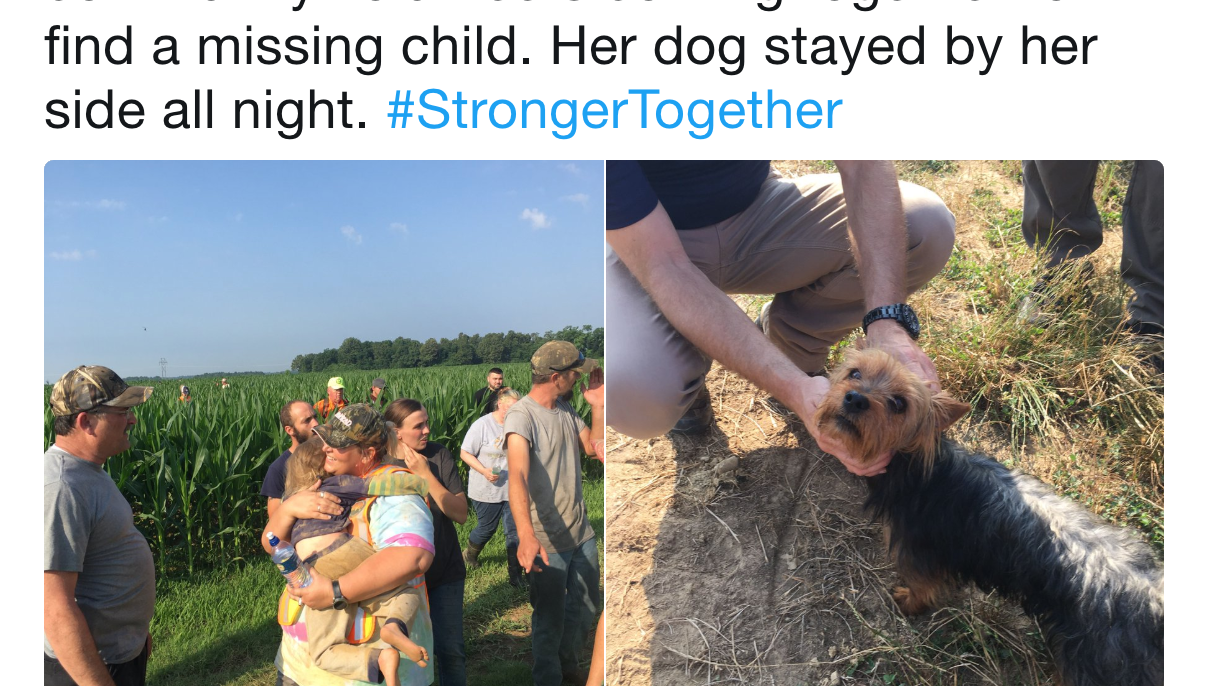 Yorkshire terrier waits all night with missing girl in cornfield