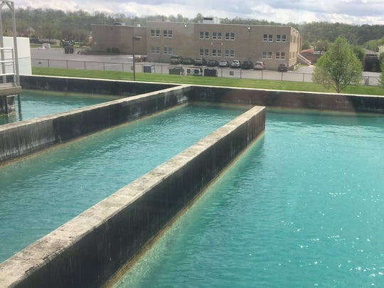 Drinking from the sea beneath us