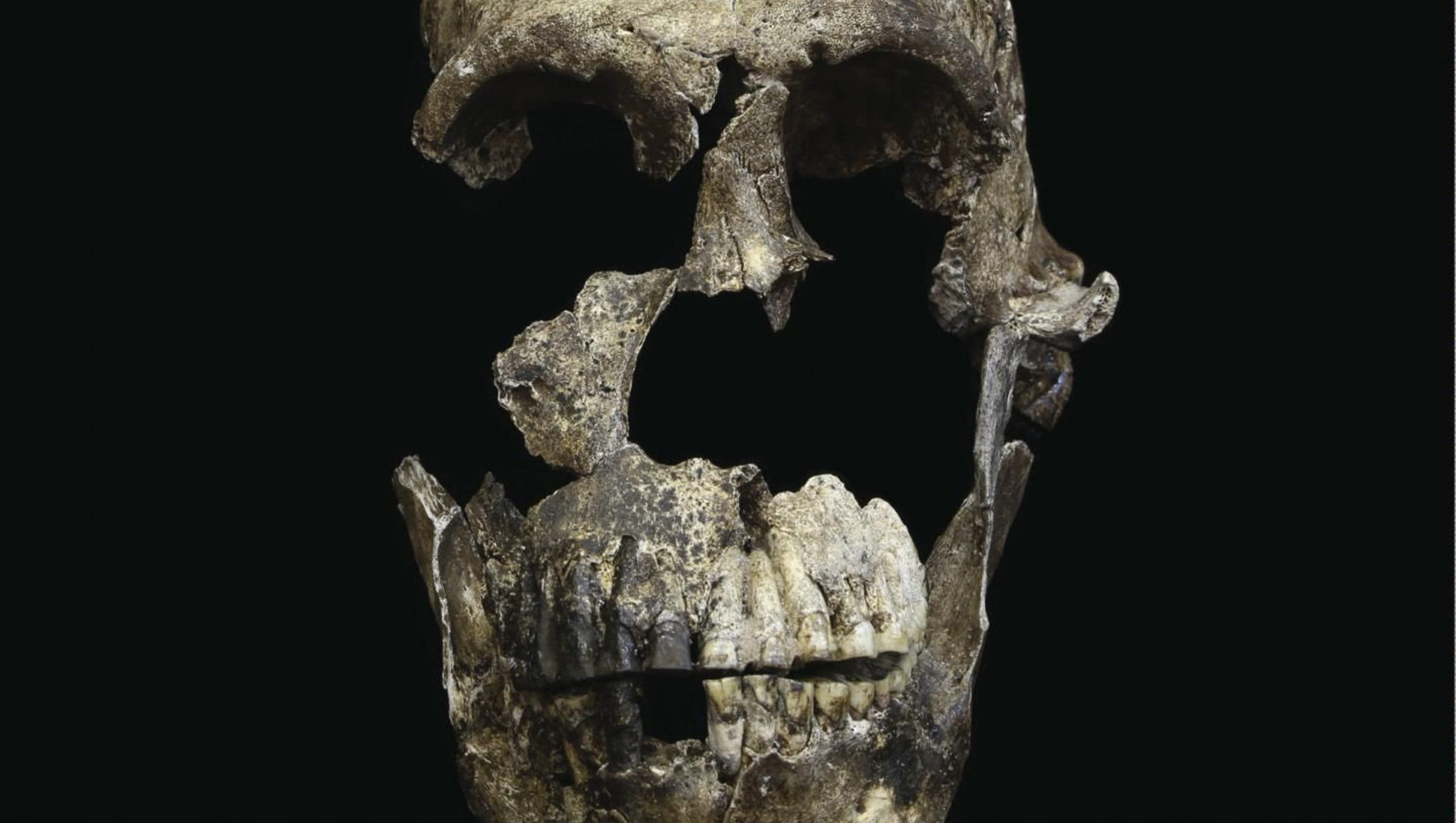 Homo nadeli, just discovered in Africa, were walking around with humans