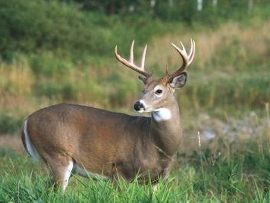 Deer hunters steamed about pending changes to the way South Dakota ...