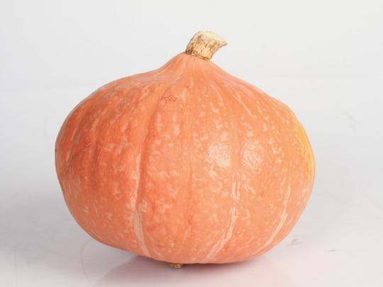 How to identify varieties of winter squash