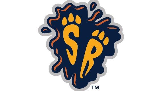 Hockey team is now the Greenville Swamp Rabbits