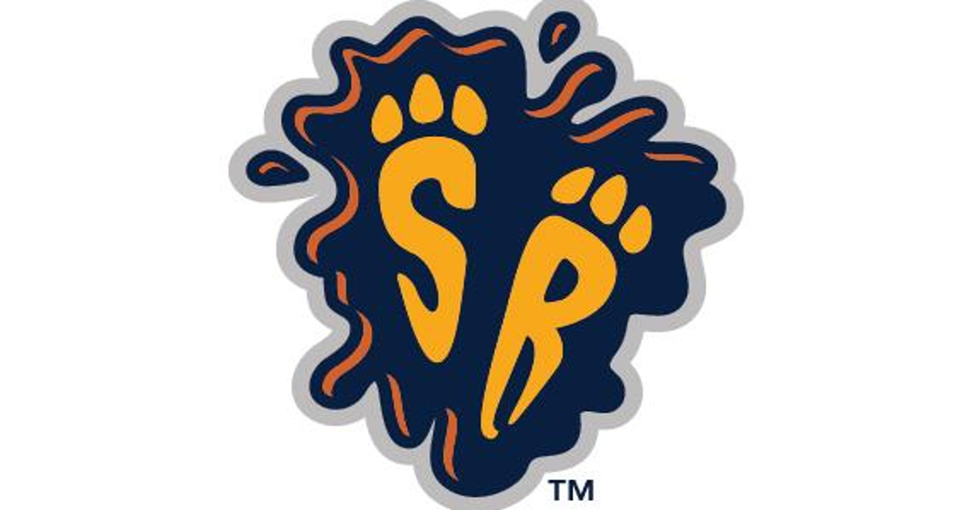 Hockey team is now the Greenville Swamp Rabbits