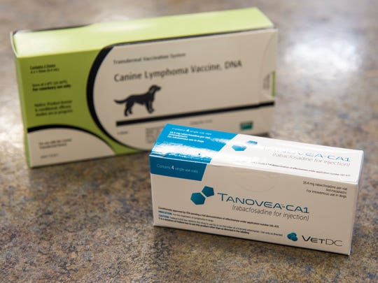 Knox vet clinic offers new treatment for canine cancer