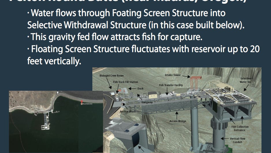 Detroit Dam: Plan to drawdown lake, aid fish passage not yet done