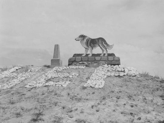 75 years of honoring Shep’s story