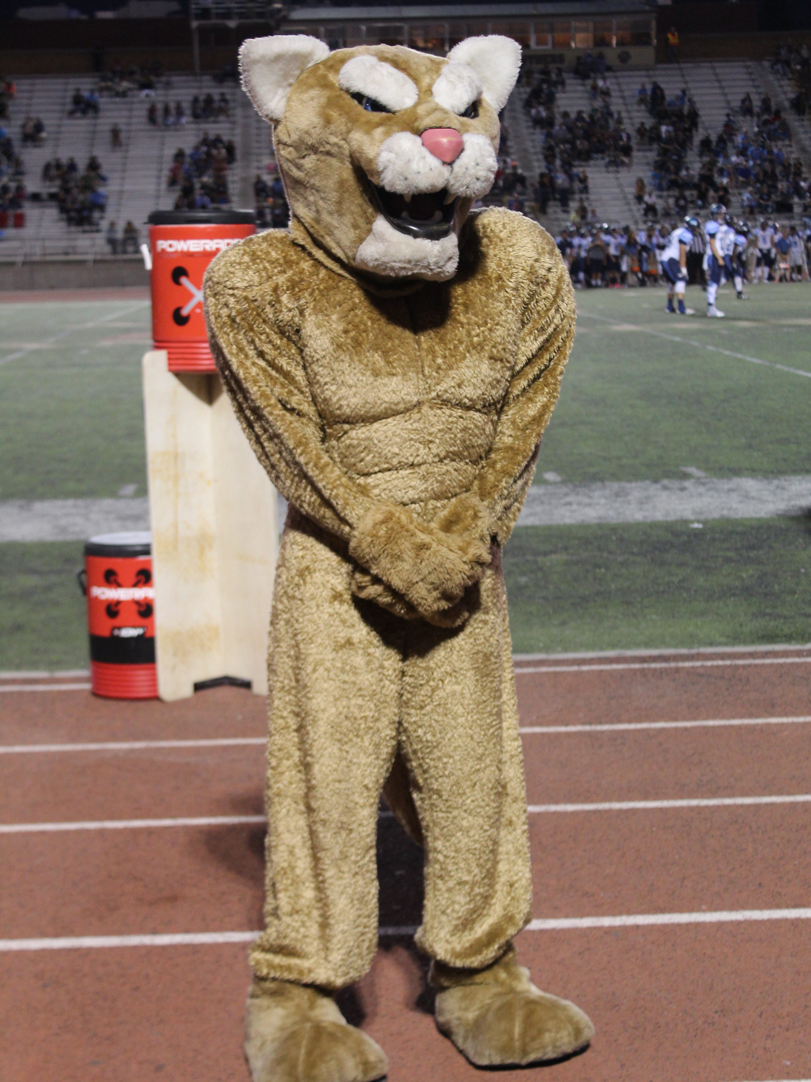 Rebuilding process continues for Austin Panthers: Football Countdown