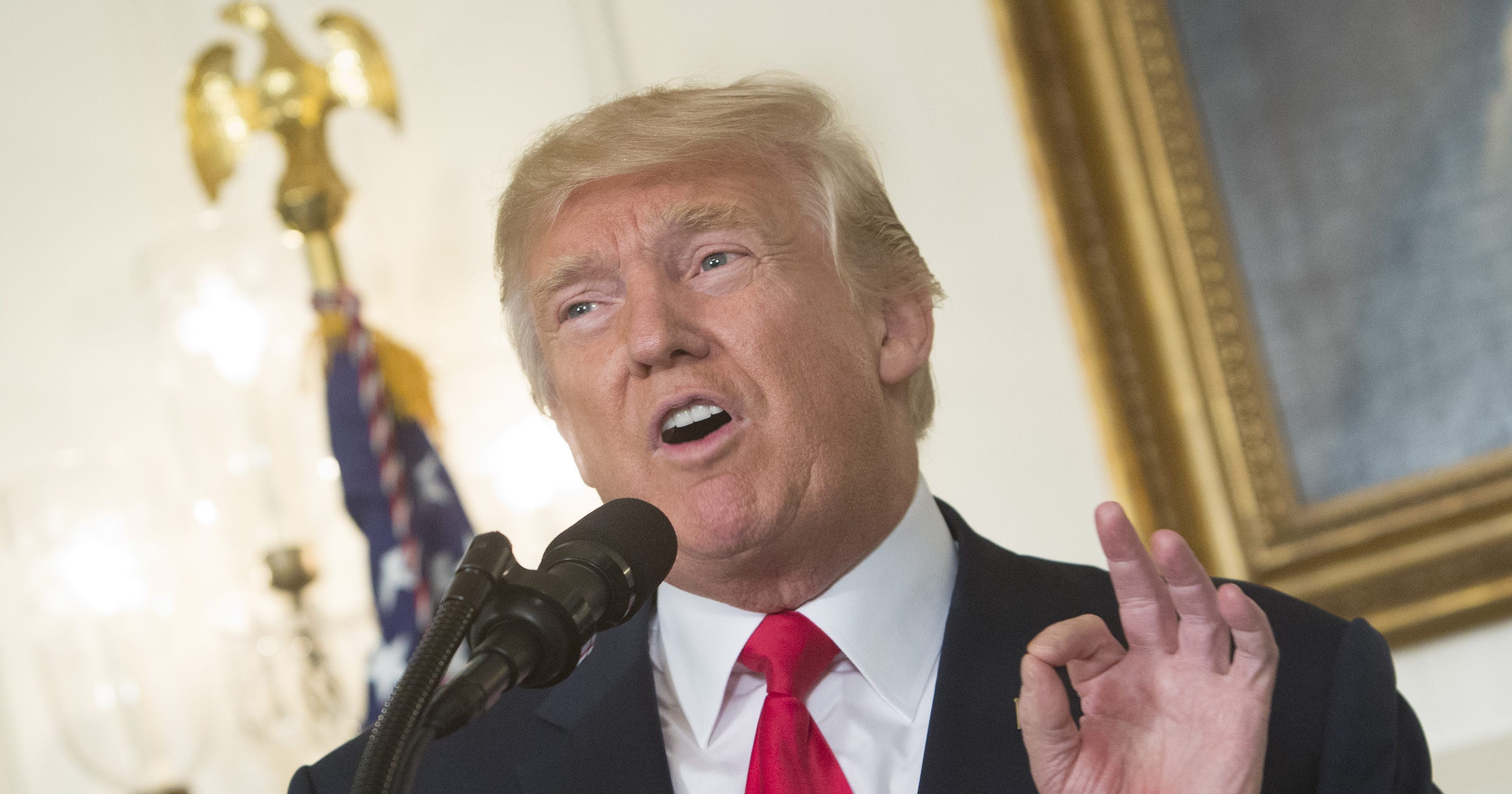 Donald Trump emboldens alt-right terrorists in Charlottesville