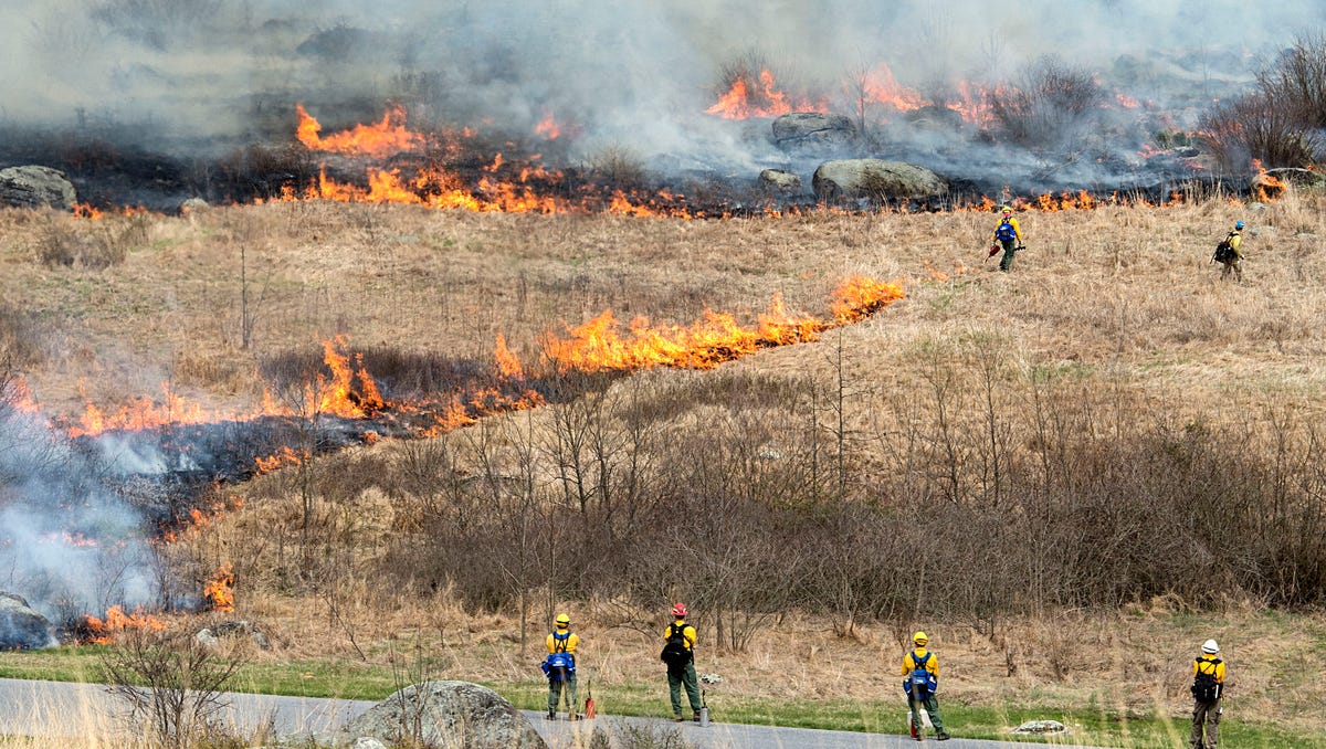 Photos: Prescribed burn gives Little Round Top 'authentic' look