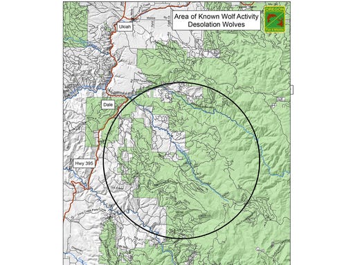 Wolf tracks confirmed in new area in northeast Oregon - Protect The Wolves™