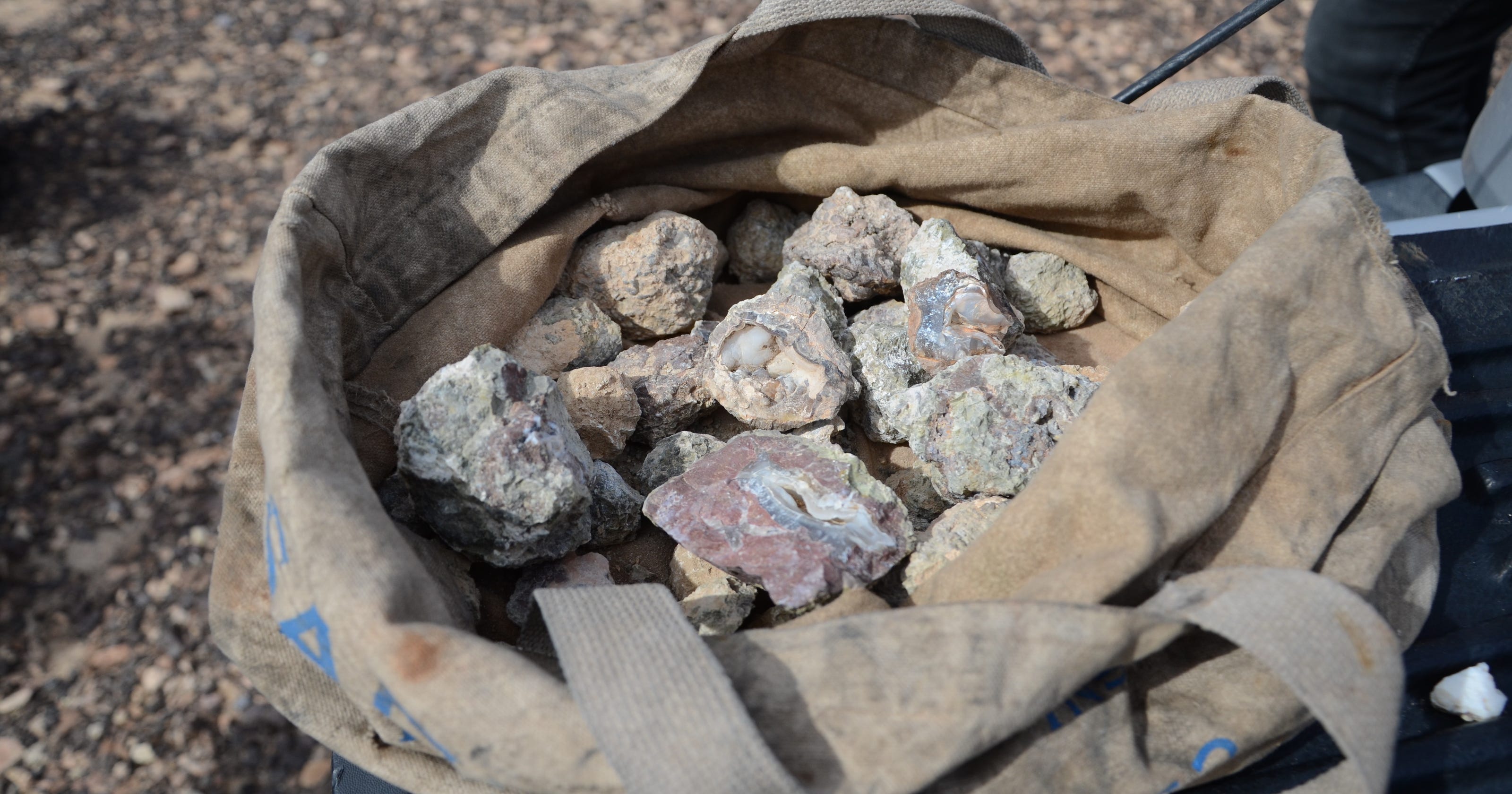 Learn how to rockhound at the Hauser Geode Beds