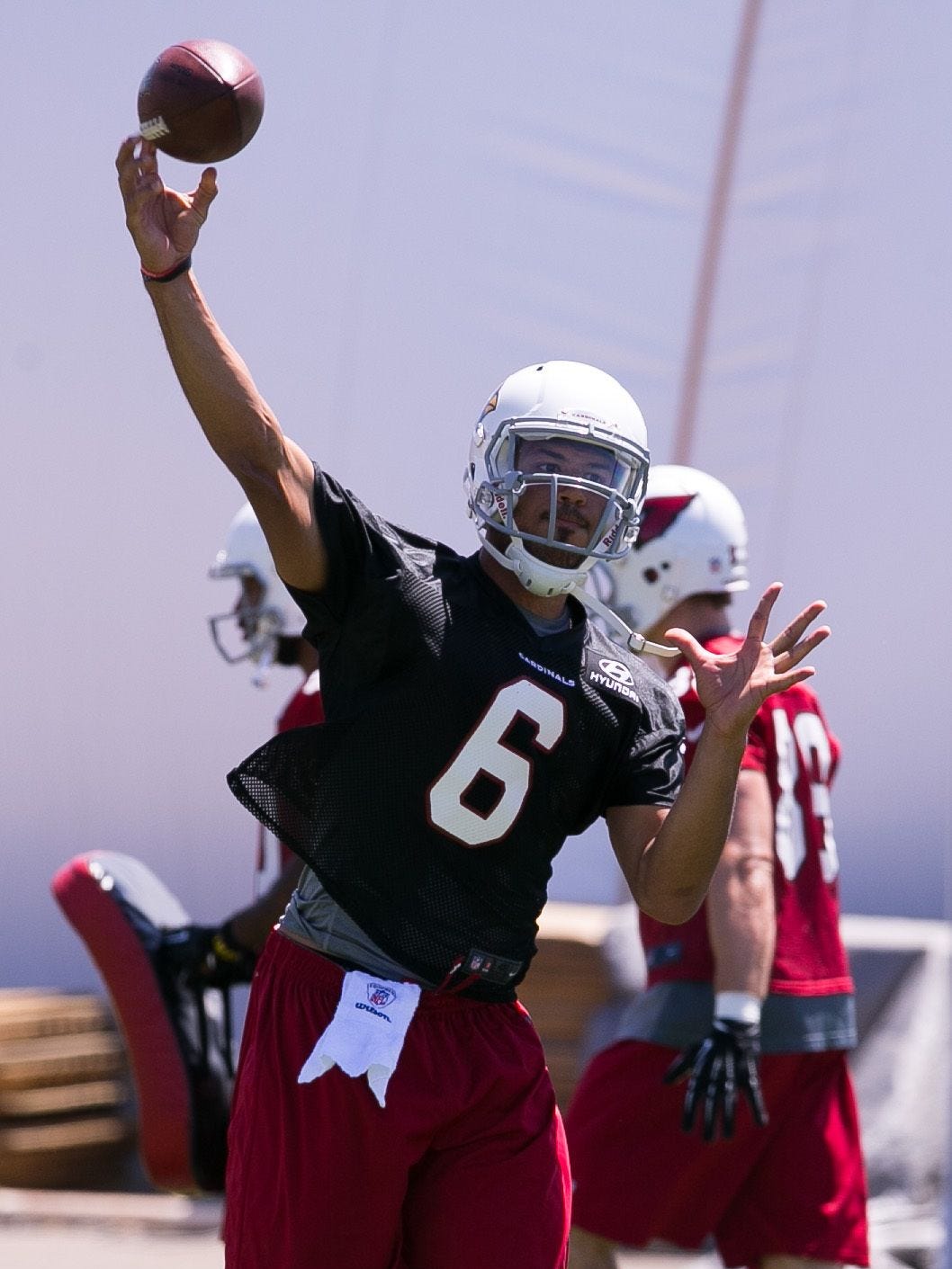 Arizona Cardinals sign Logan Thomas, Ed Stinson, Walt Powell