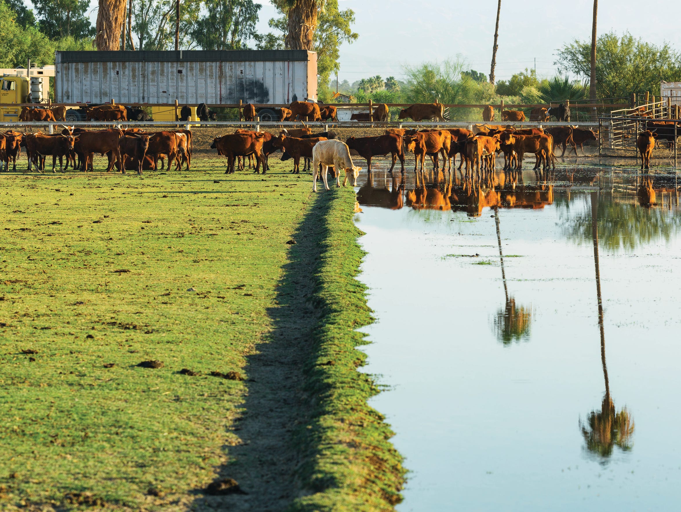 Capturing the landscape: Document the valley through your lens