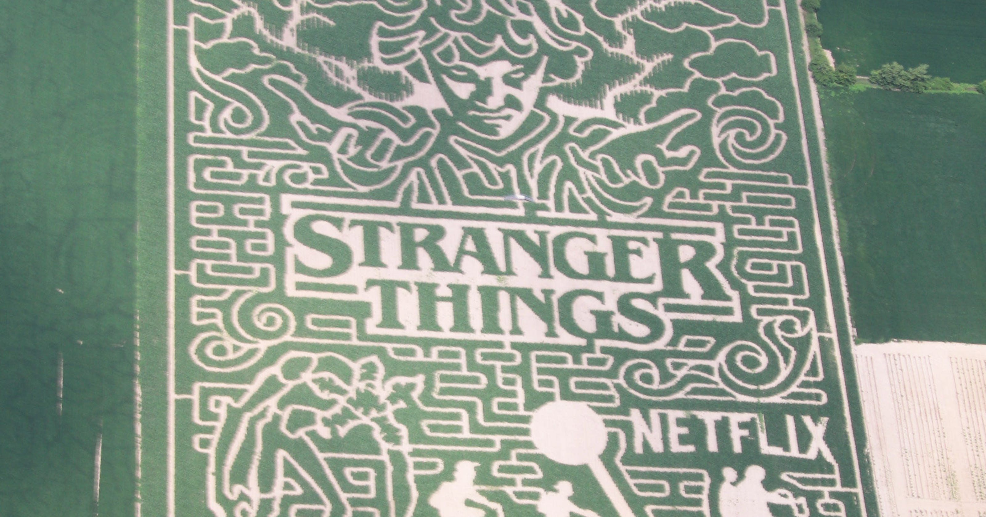 Ready for 'Stranger Things'? Corn maze opens in Lafayette