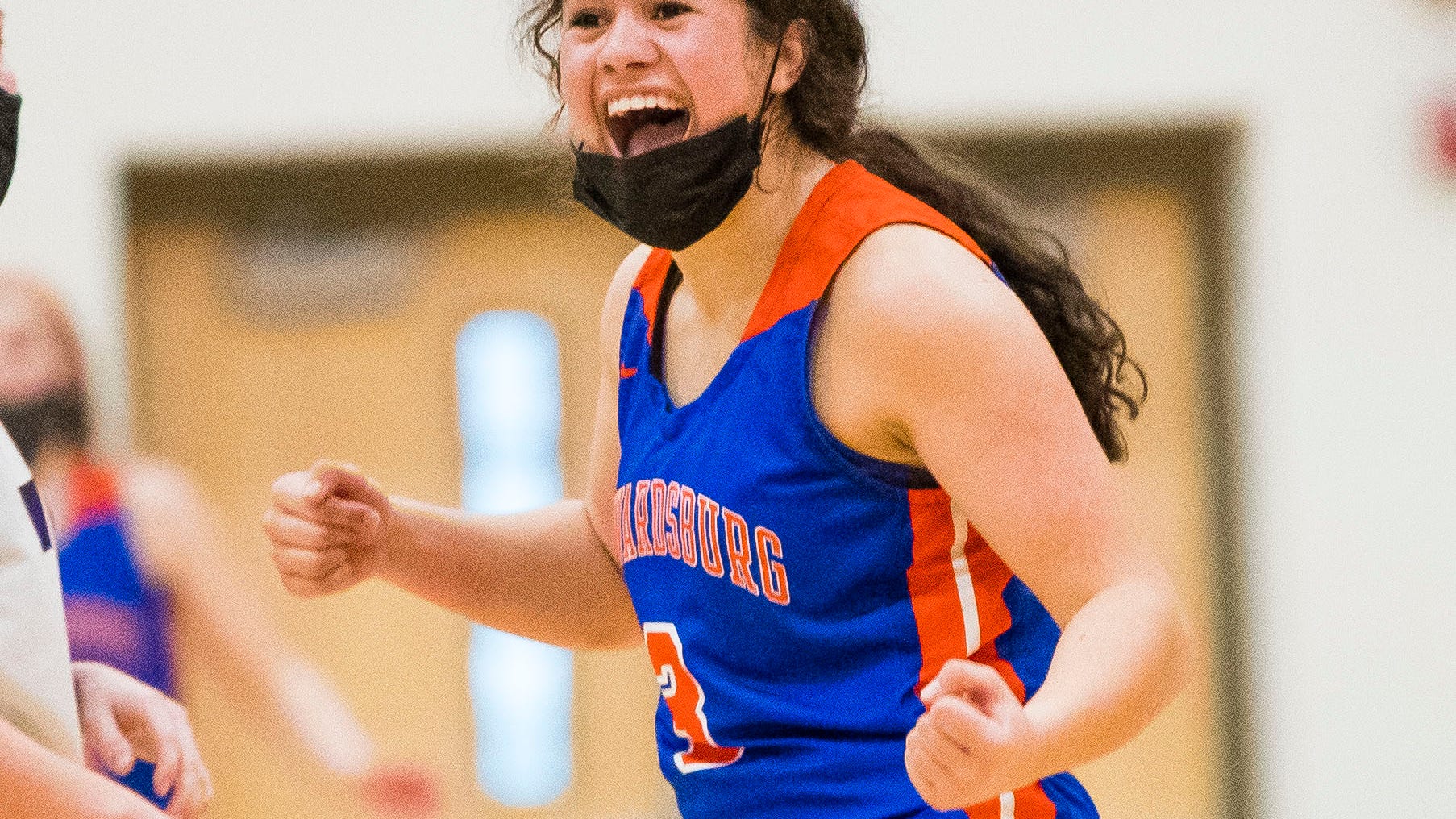 Michigan girls high school basketball: Edwardsburg Buchanan Niles