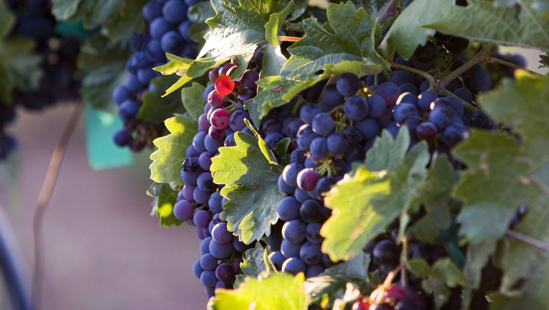 5 Arizona road trips for the casual adventurer