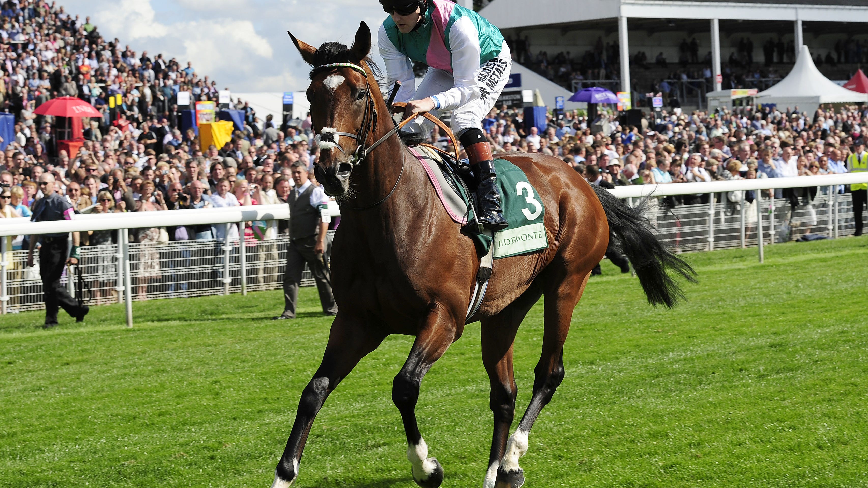 Frankel's first foal to be auctioned on Monday