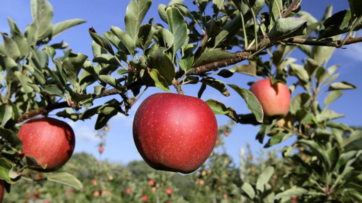 Providence WaterFire 2025 Schedule: Dates & Details - News Usa Today