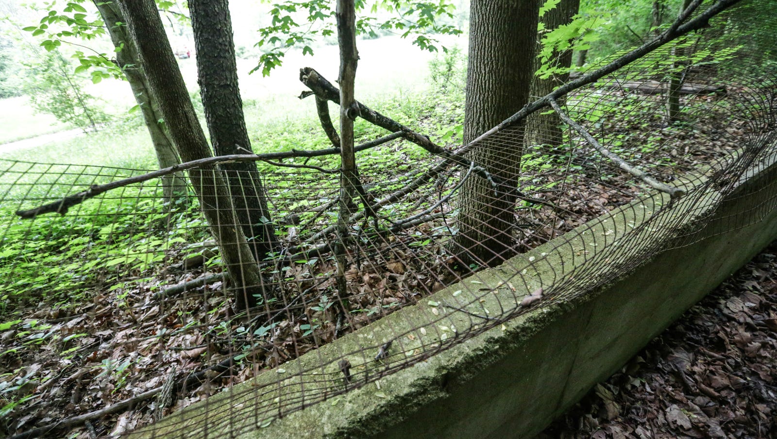 The legend of the notoriously deadly Jungle Park Speedway