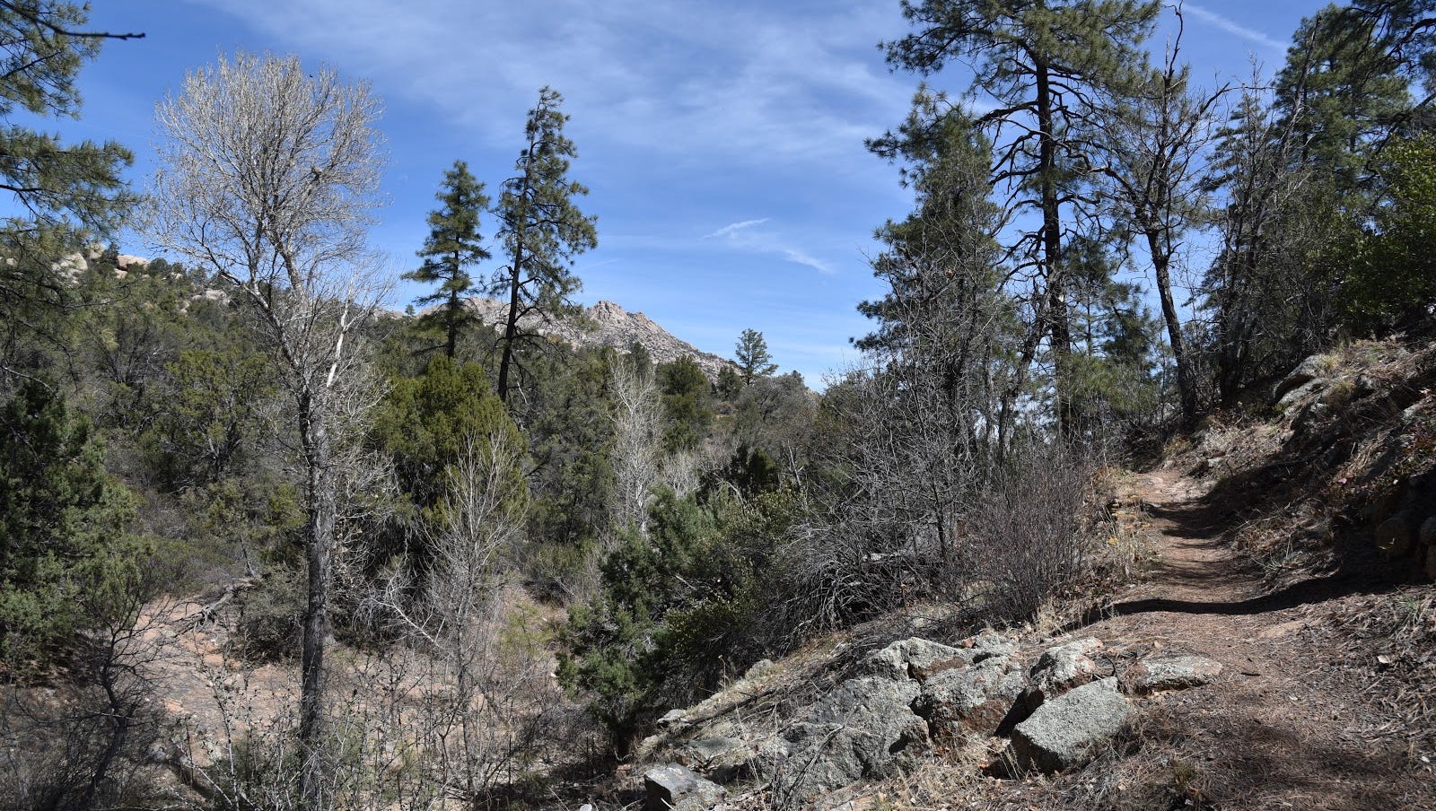 Prescott, AZ, hike: Clark Spring Trail