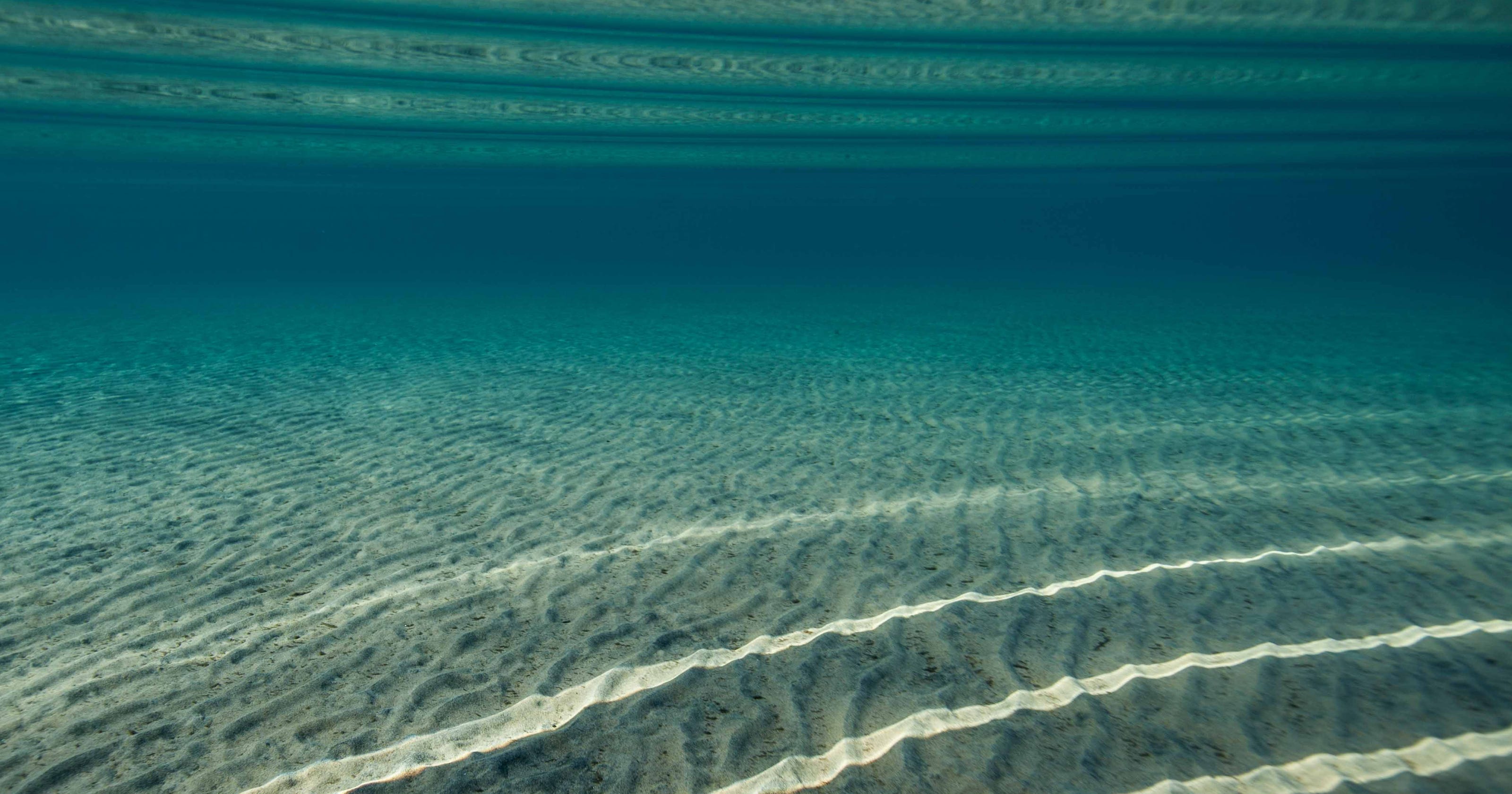 Six Amazing Underwater Scenes From Lake Tahoe six-amazing-underwater-scenes-from-lake-tahoe