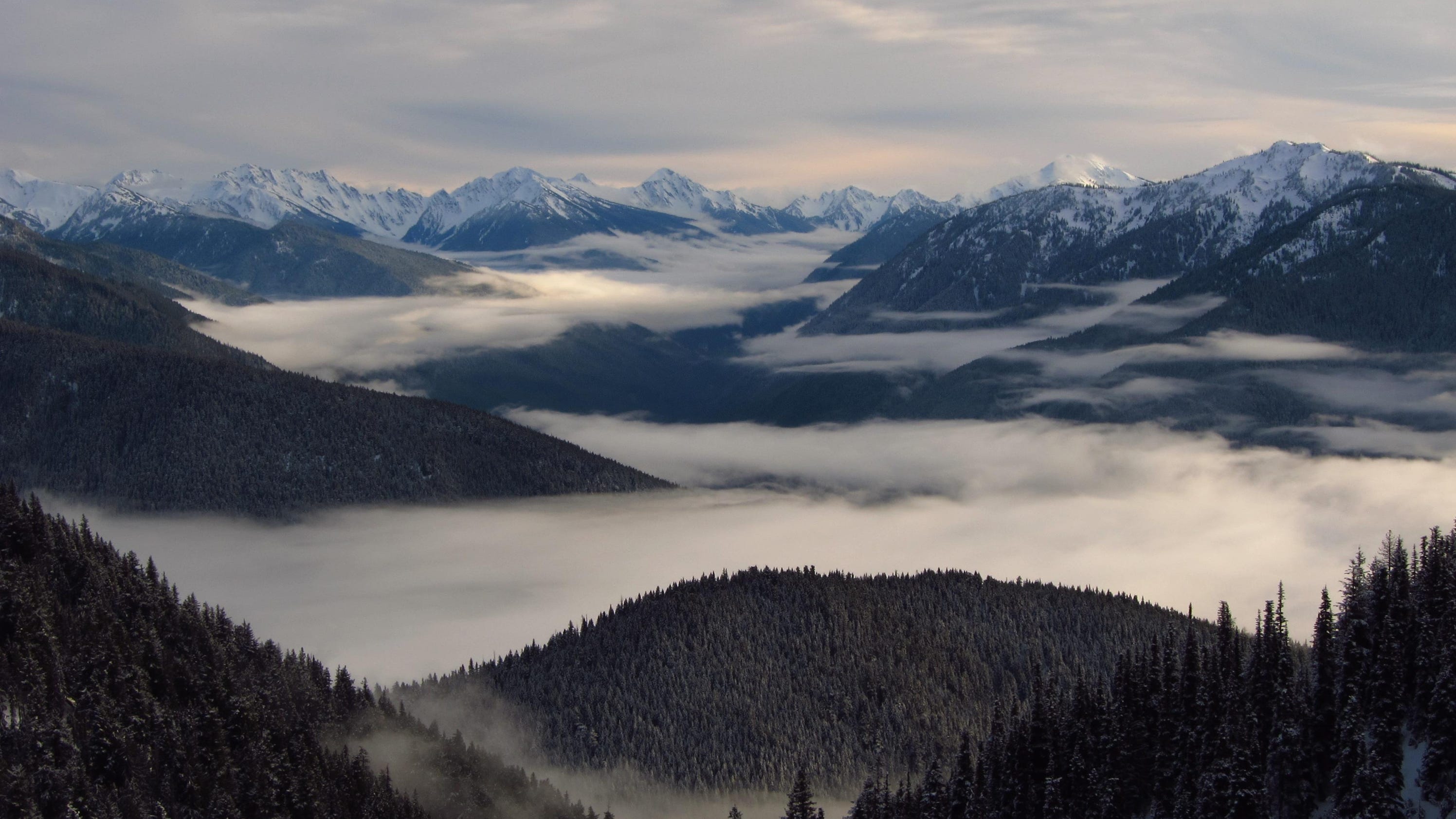 Olympic National Park Mountains Forests And Shores olympic-national-park-mountains-forests-and-shores