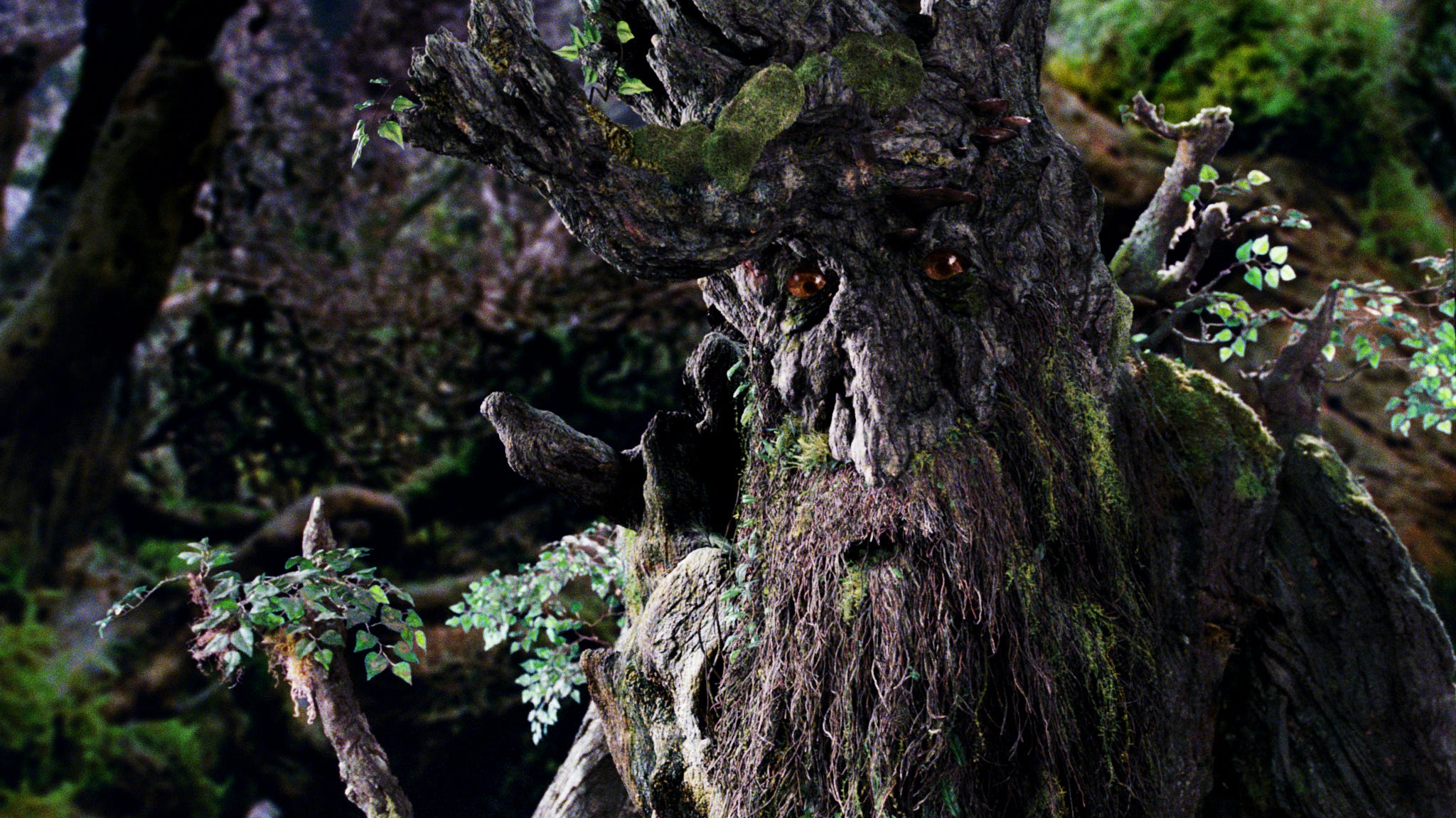 The best trees in literature