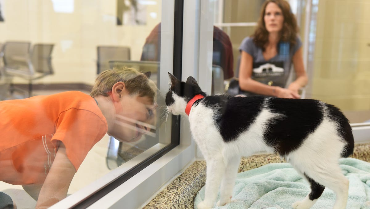 Michigan Humane Society Detroit Animal Care Center