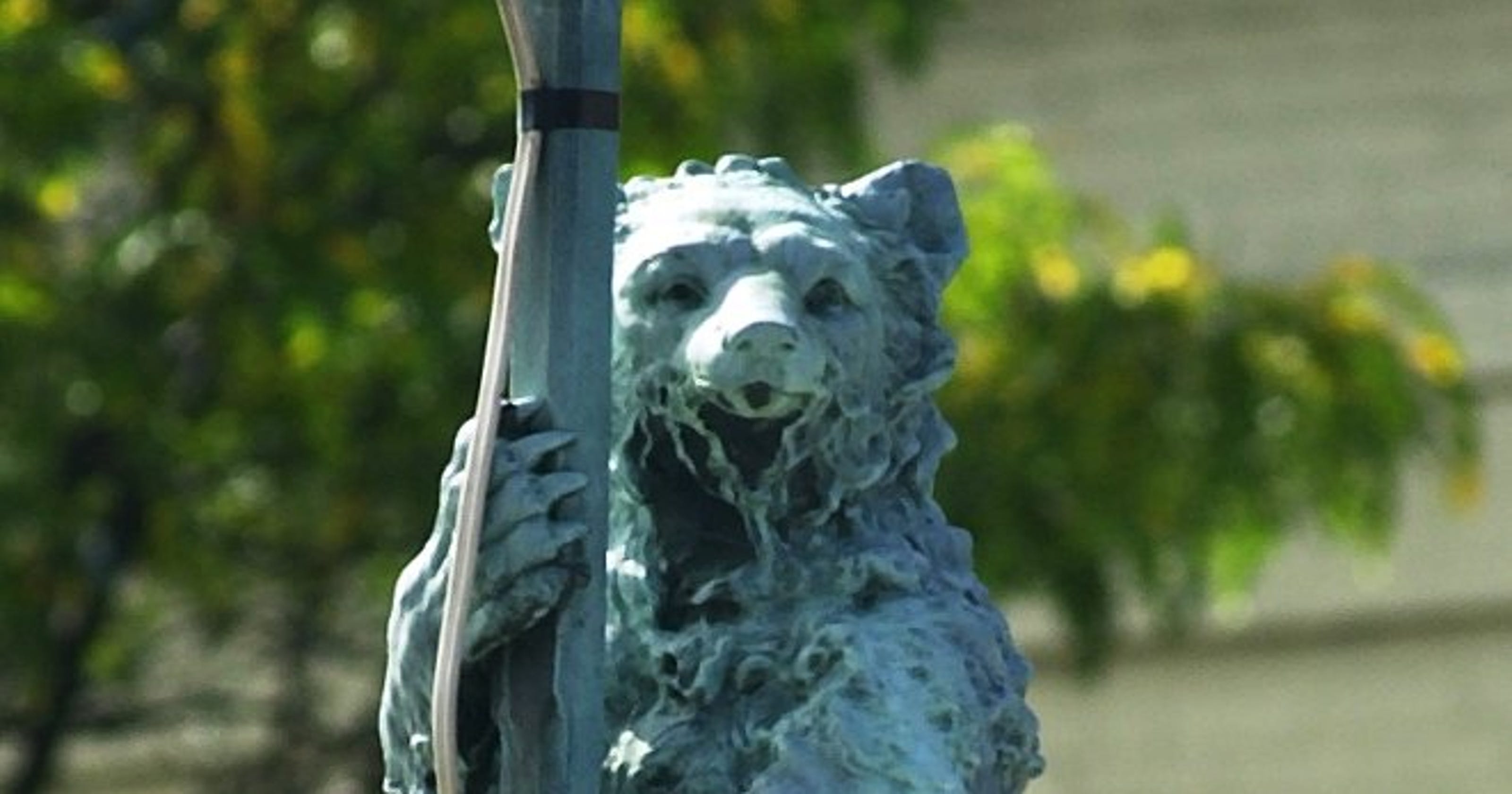 Iconic Geneseo bear statue finds home in museum