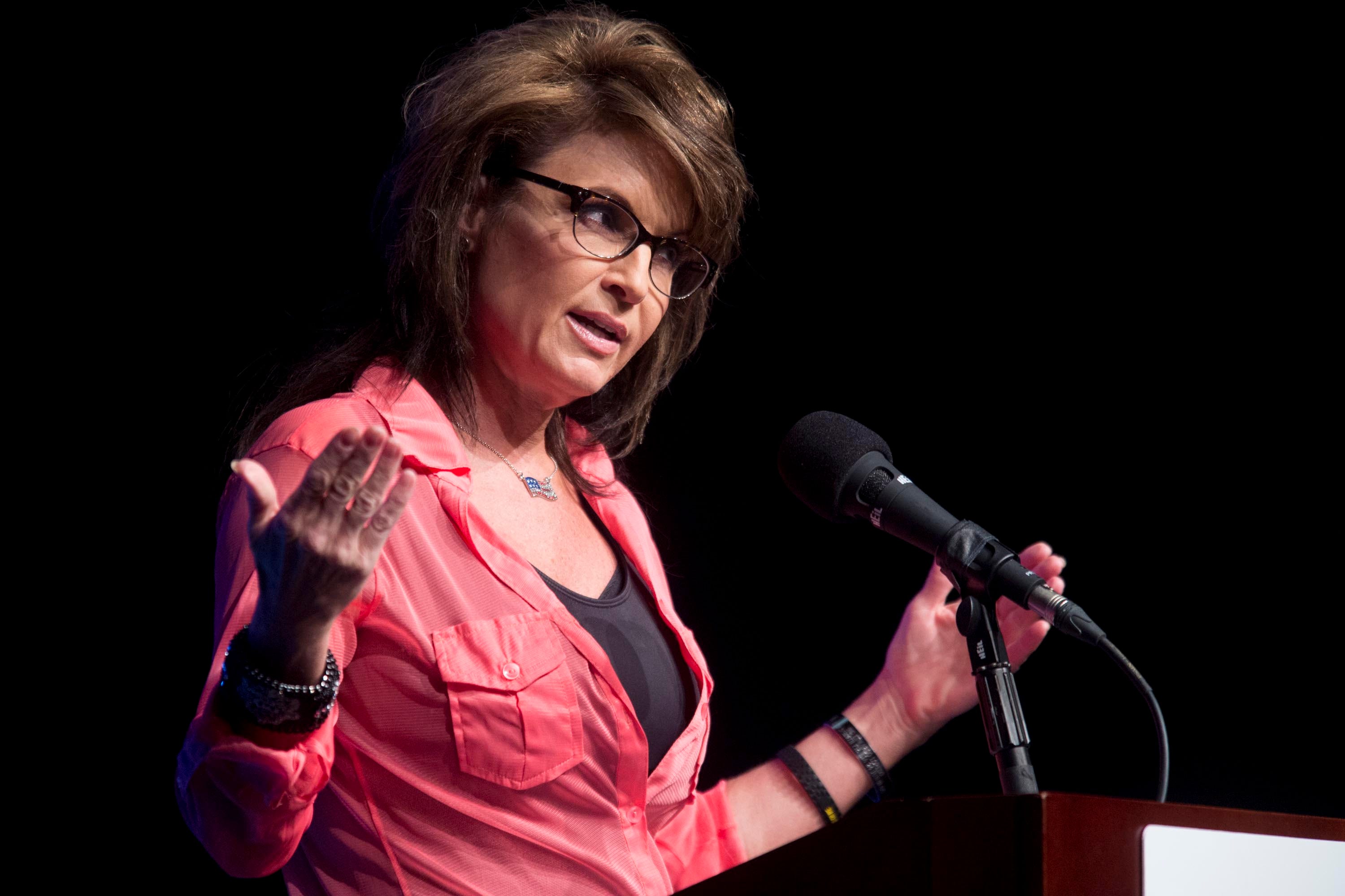 Sarah Palin, family involved in big Alaska party brawl
