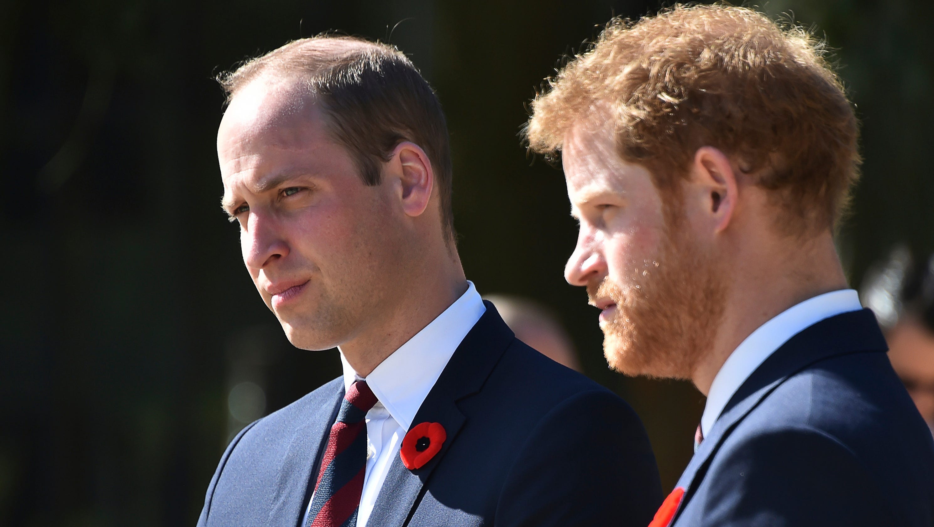 Princes William And Harry Glad They Walked During Diana Funeral