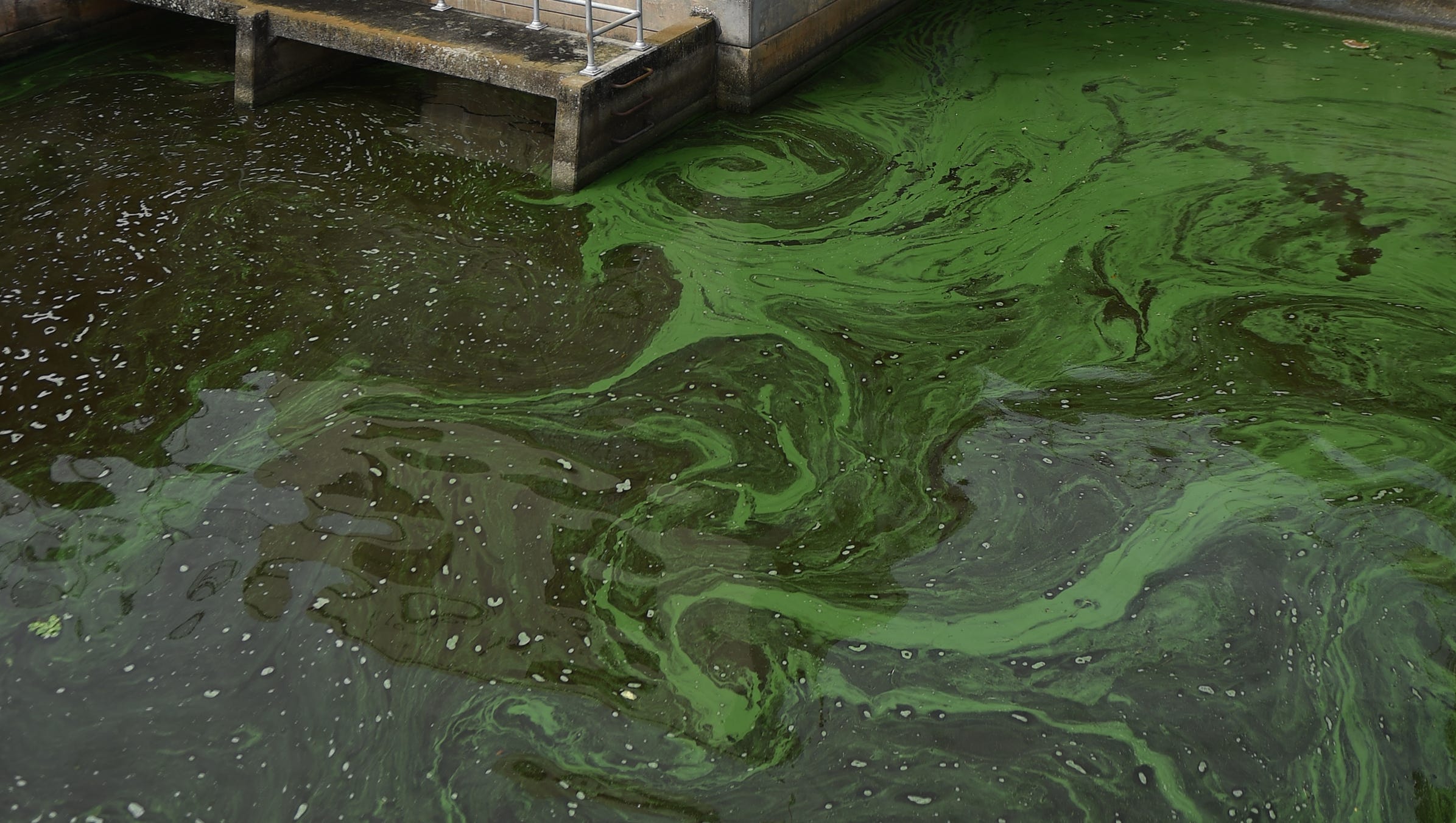 Highly toxic algae reported as return of Lake O discharges looms