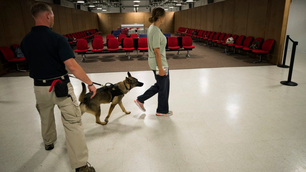 What Are Tsa Dogs Trained For