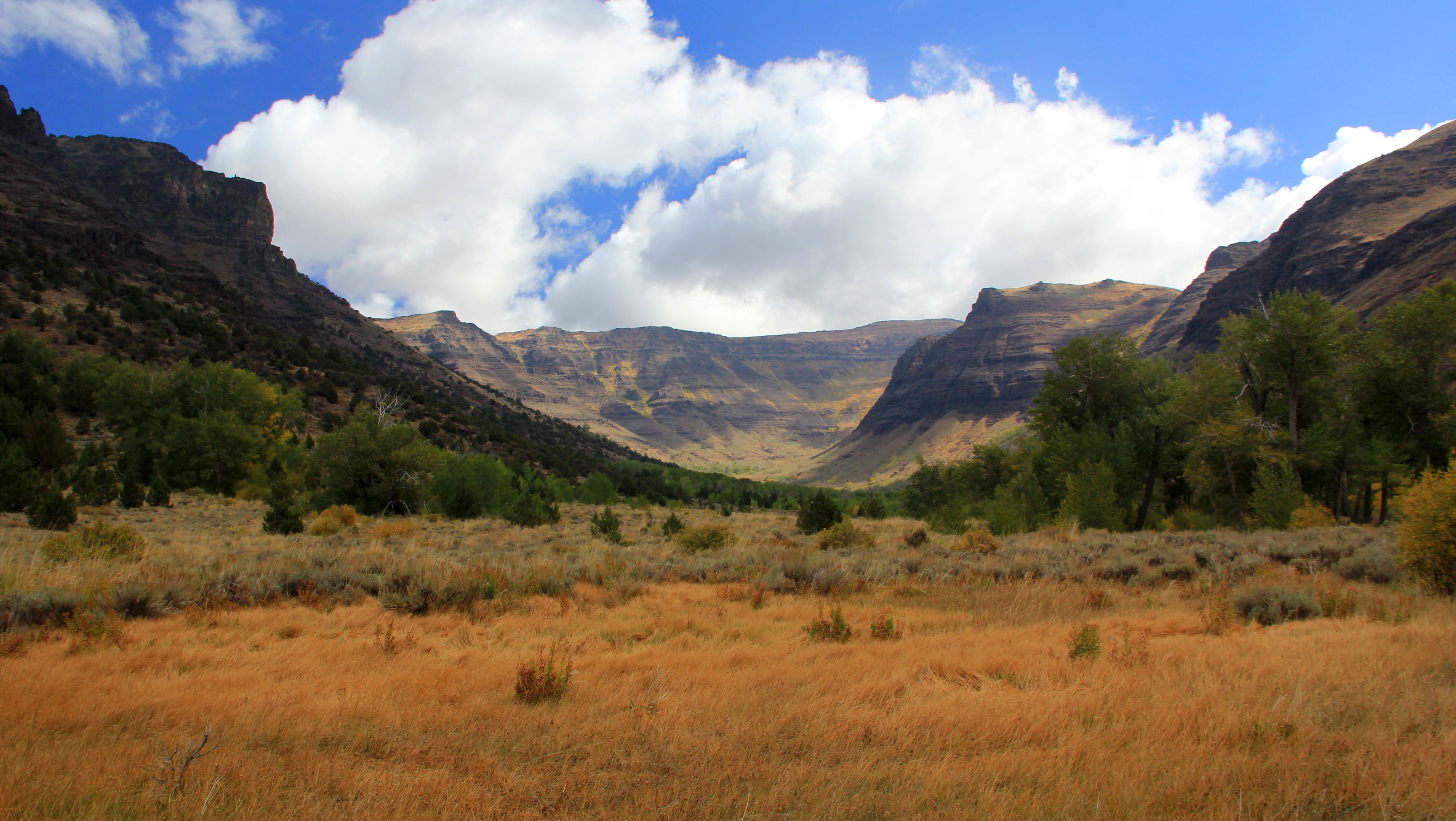 Steens Mountain Loop Road among most spectacular routes in Oregon