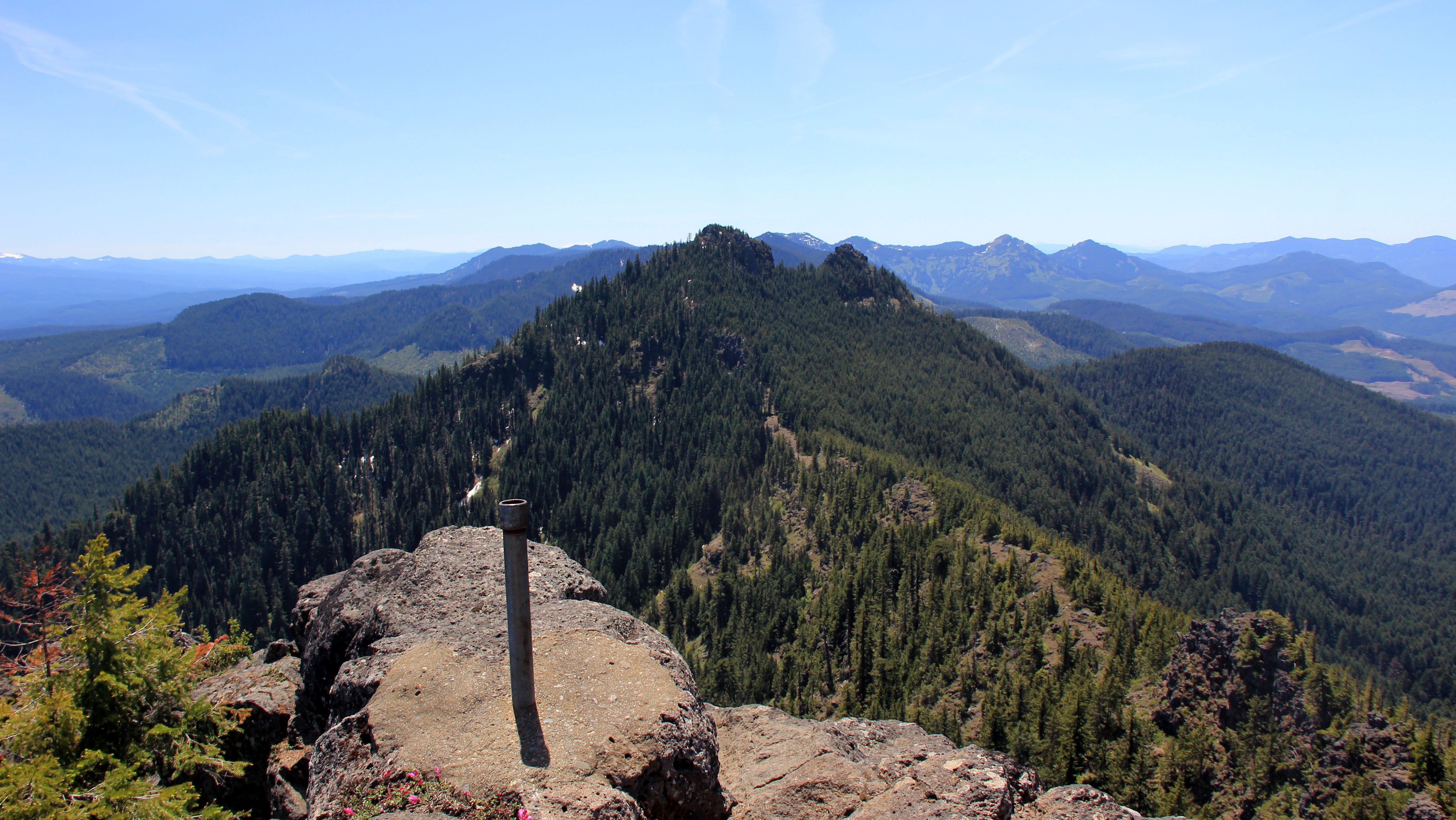 10 hikes in Oregon for giant and bizarre old-growth forest