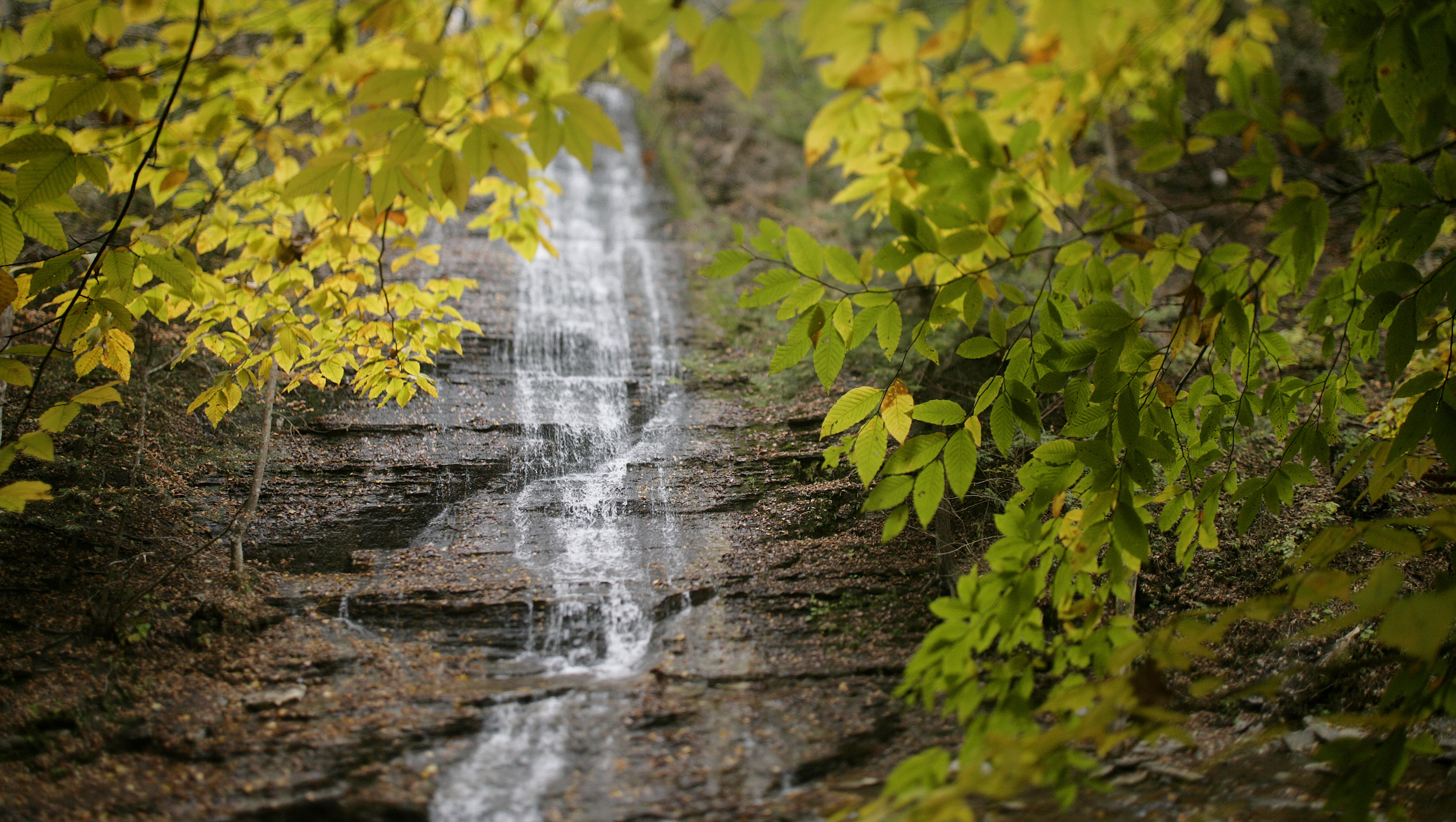 Upstate NY fall colors guide: Where and when to go