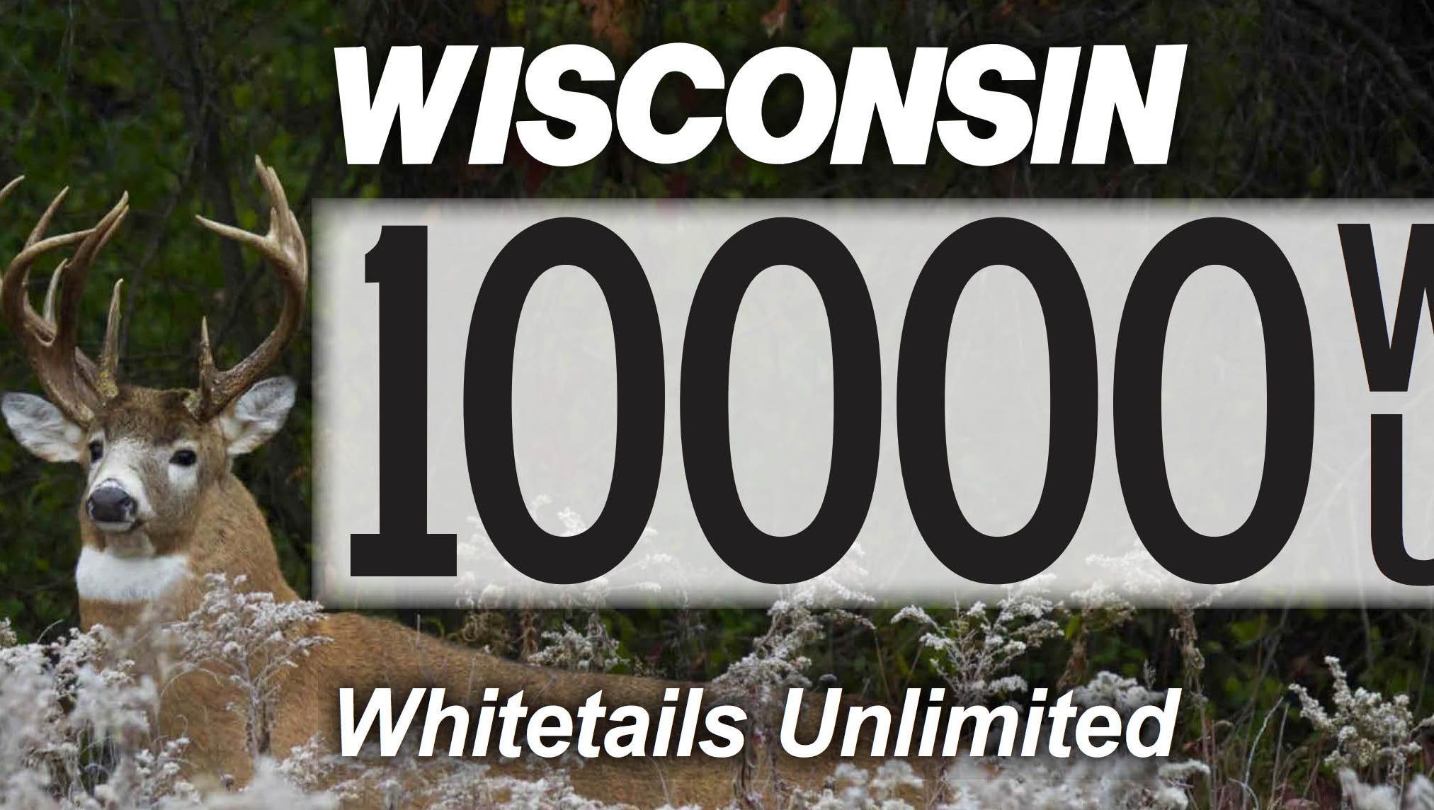 Whitetails and elk featured on new specialty license plates