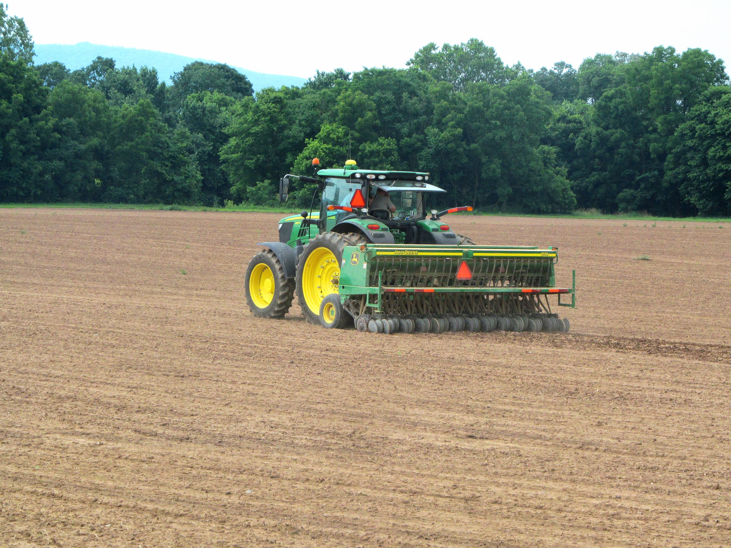 Hemp: Could it be the future of farming?