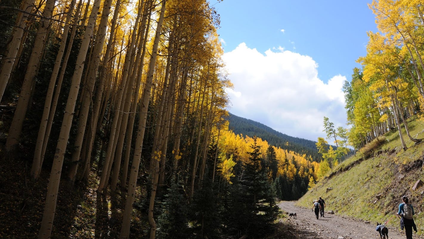 Best fall-colors hikes in Flagstaff