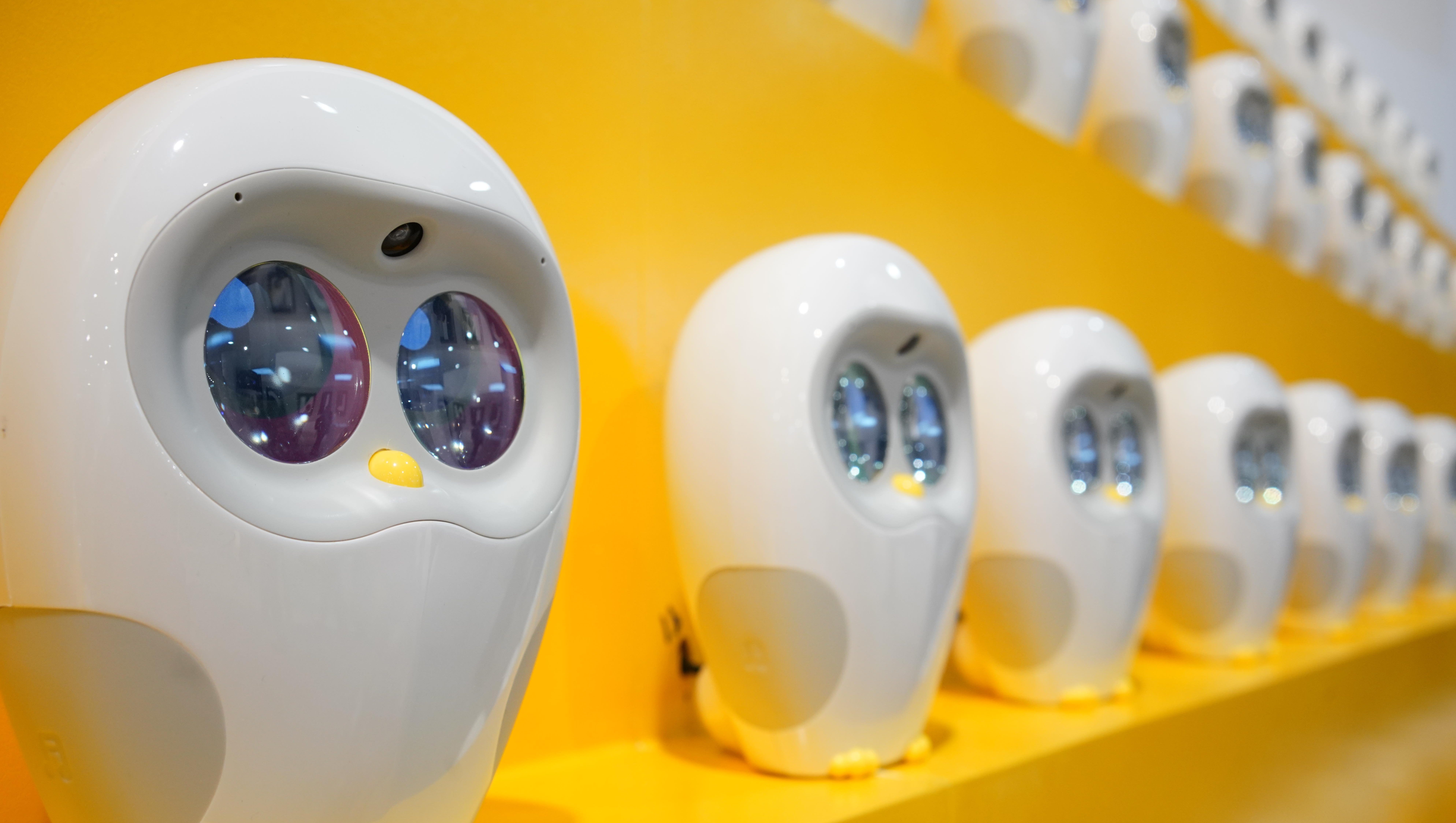 Robot race: These cute robots aim at Amazon Echo usefullness